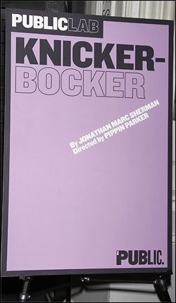 Amanda Peet, Michael Ian Black, Naomi Watts, Emily Mortimer and More at ...